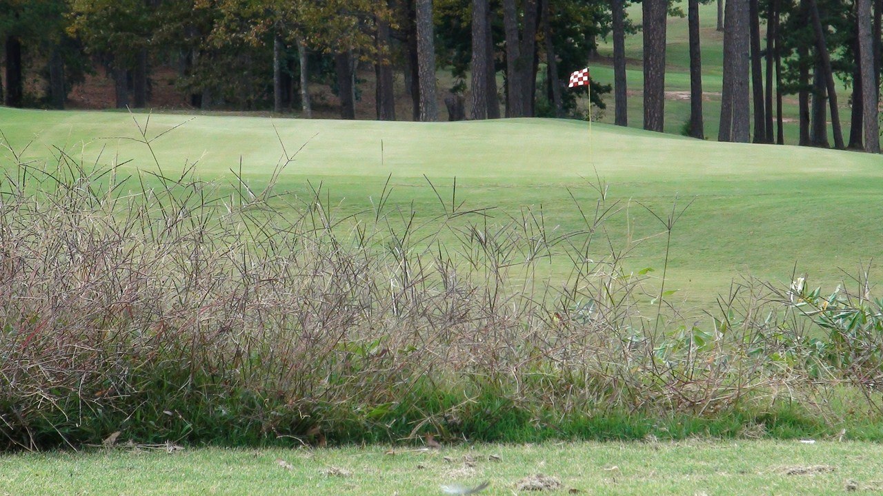 Lakeview Golf Course - Lakeview Golf Club